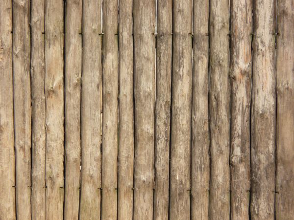 rough grey log texture 0012 - Texturelib